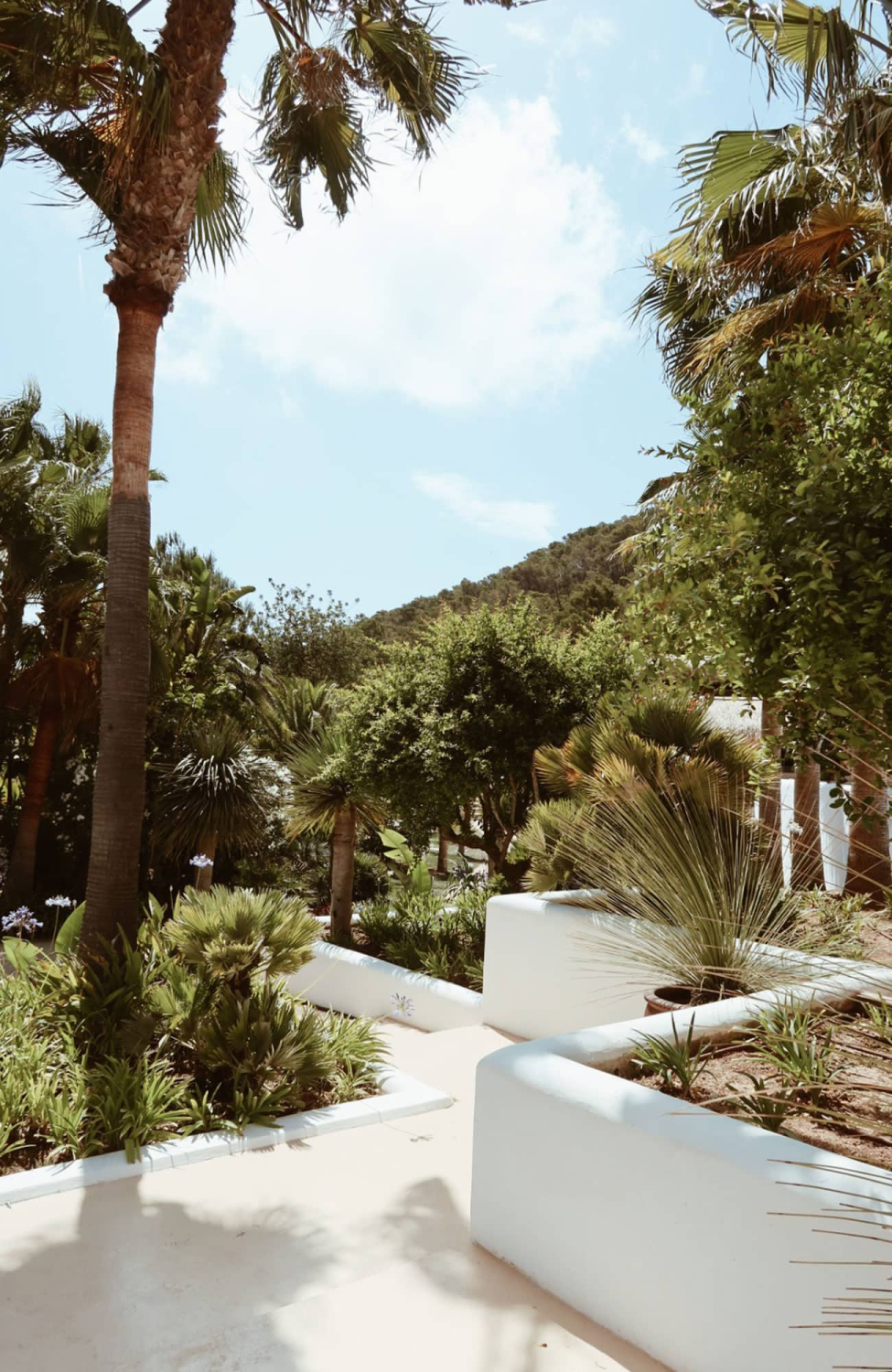 Ibiza spa services | Pure House Ibiza